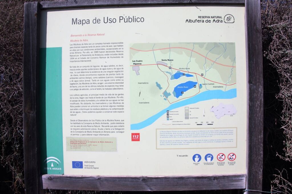 Observar y anillar aves en la Albufera de Adra - Qué Ver en Almería